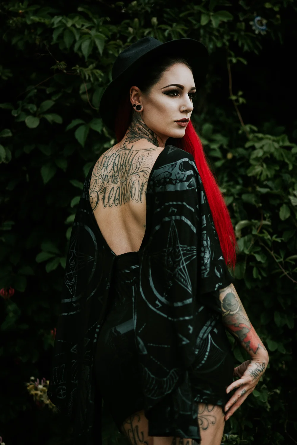 Cervena Fox