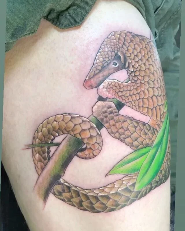 Gallery 1 — Berkeley Tattoo Parlour