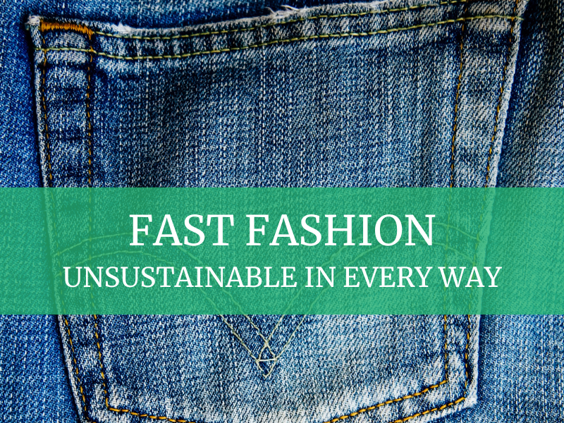Fast Fashion: Unsustainable In Every Way — Argento / Graham