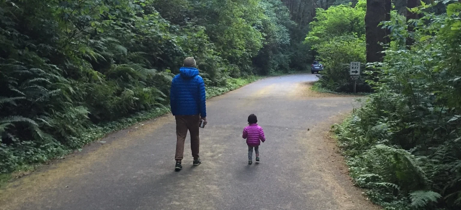 PrimerField Foundation