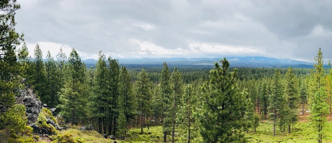 Primer Sciences — PrimerField Foundation