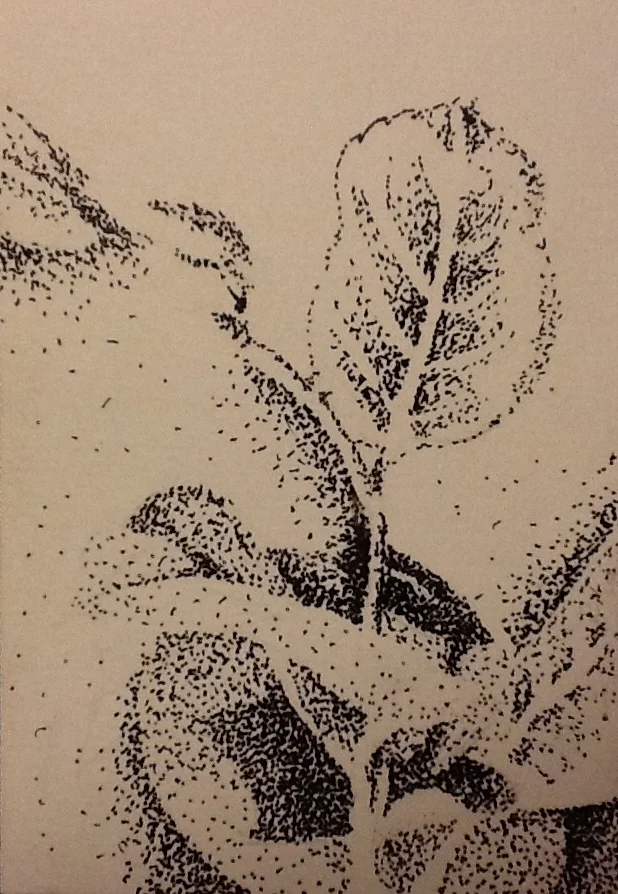 How To Tell The Difference Between Pointillism Stippling Dot Art Ben 