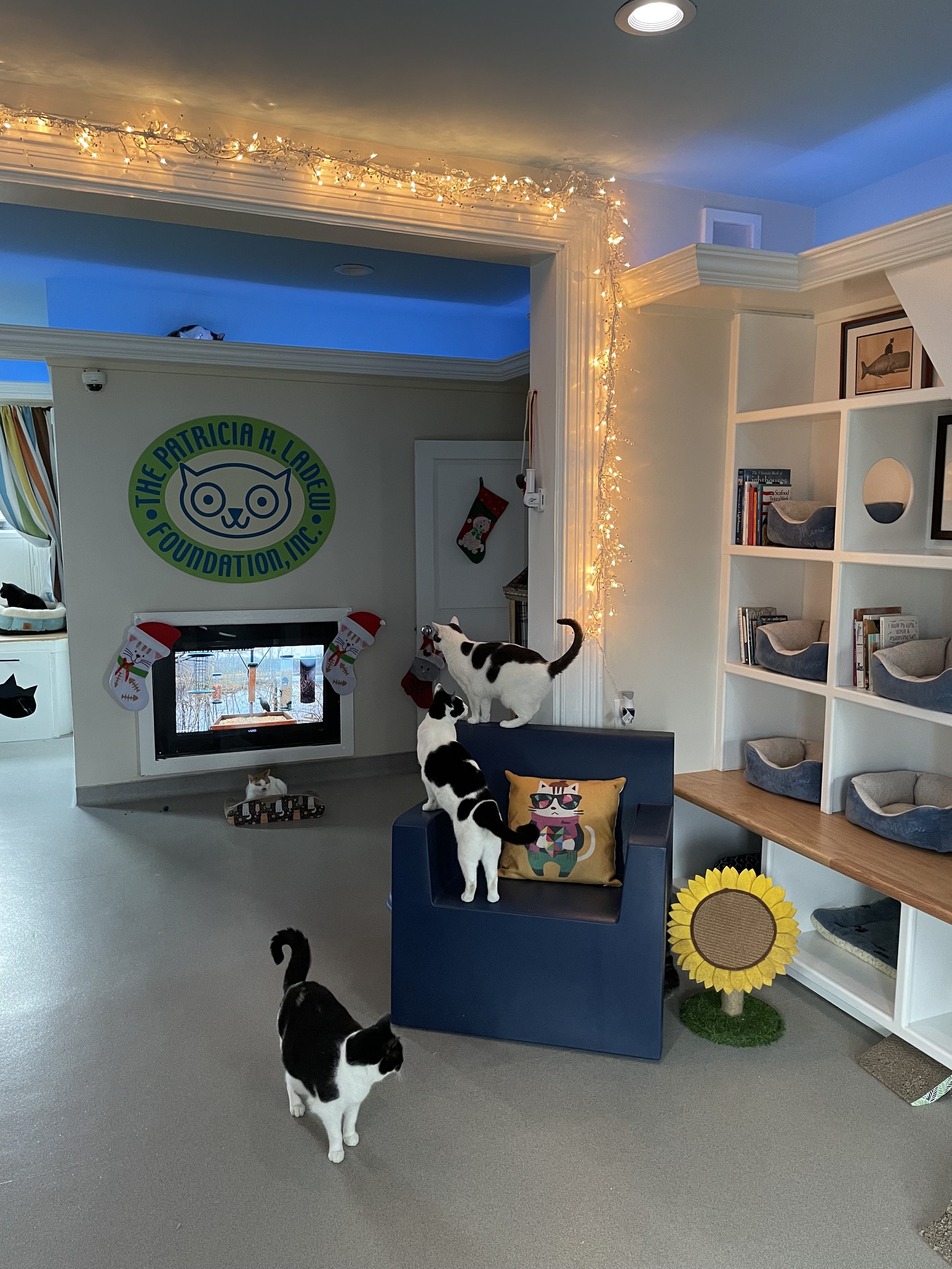 New Gallery — Patricia H. Ladew Foundation, Inc. New Gallery — Patricia H. Ladew Foundation, Inc.