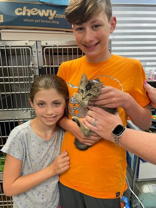 Starlight — Patricia H. Ladew Foundation, Inc.