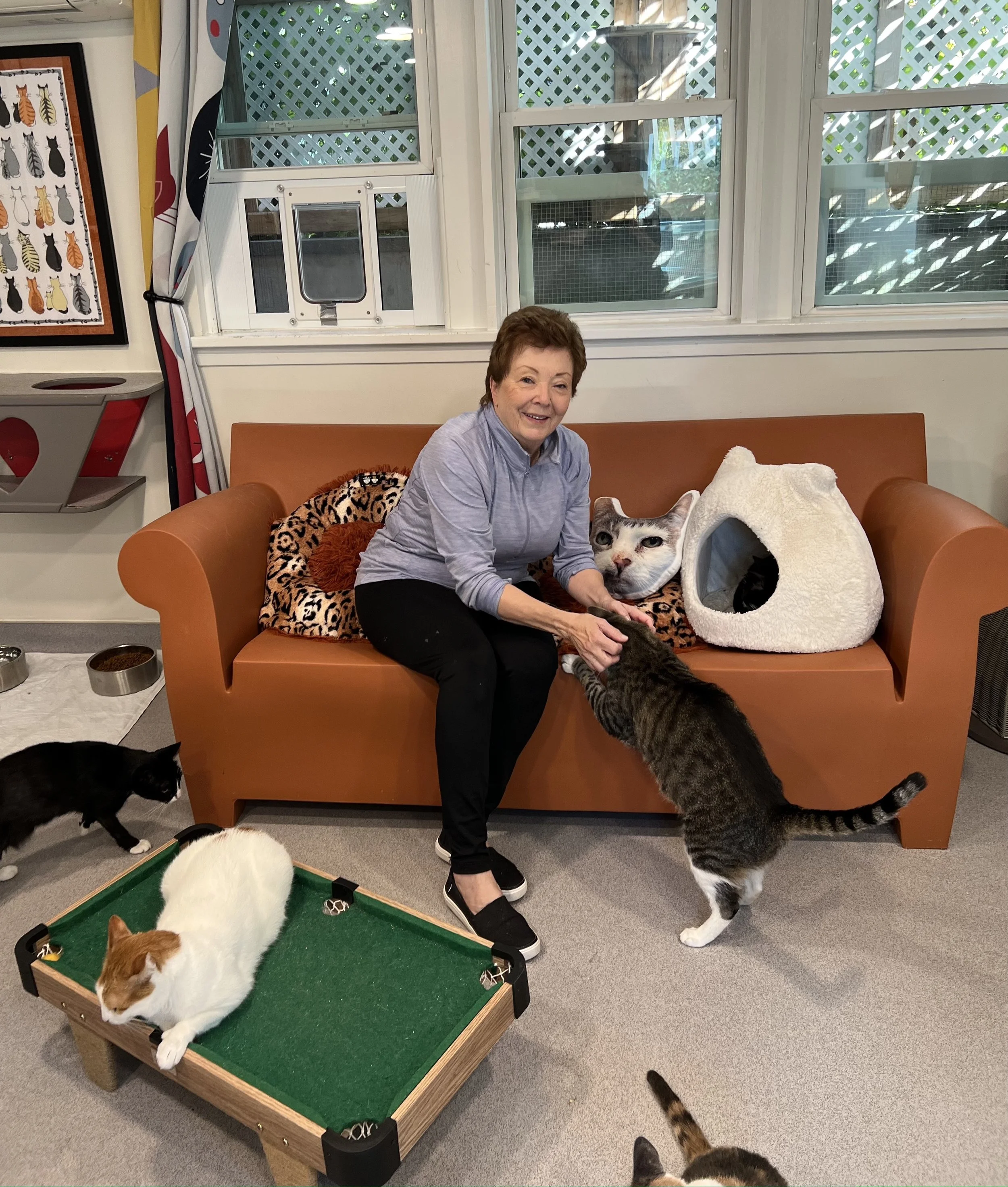 About Our Staff and Volunteers — Patricia H. Ladew Foundation, Inc.