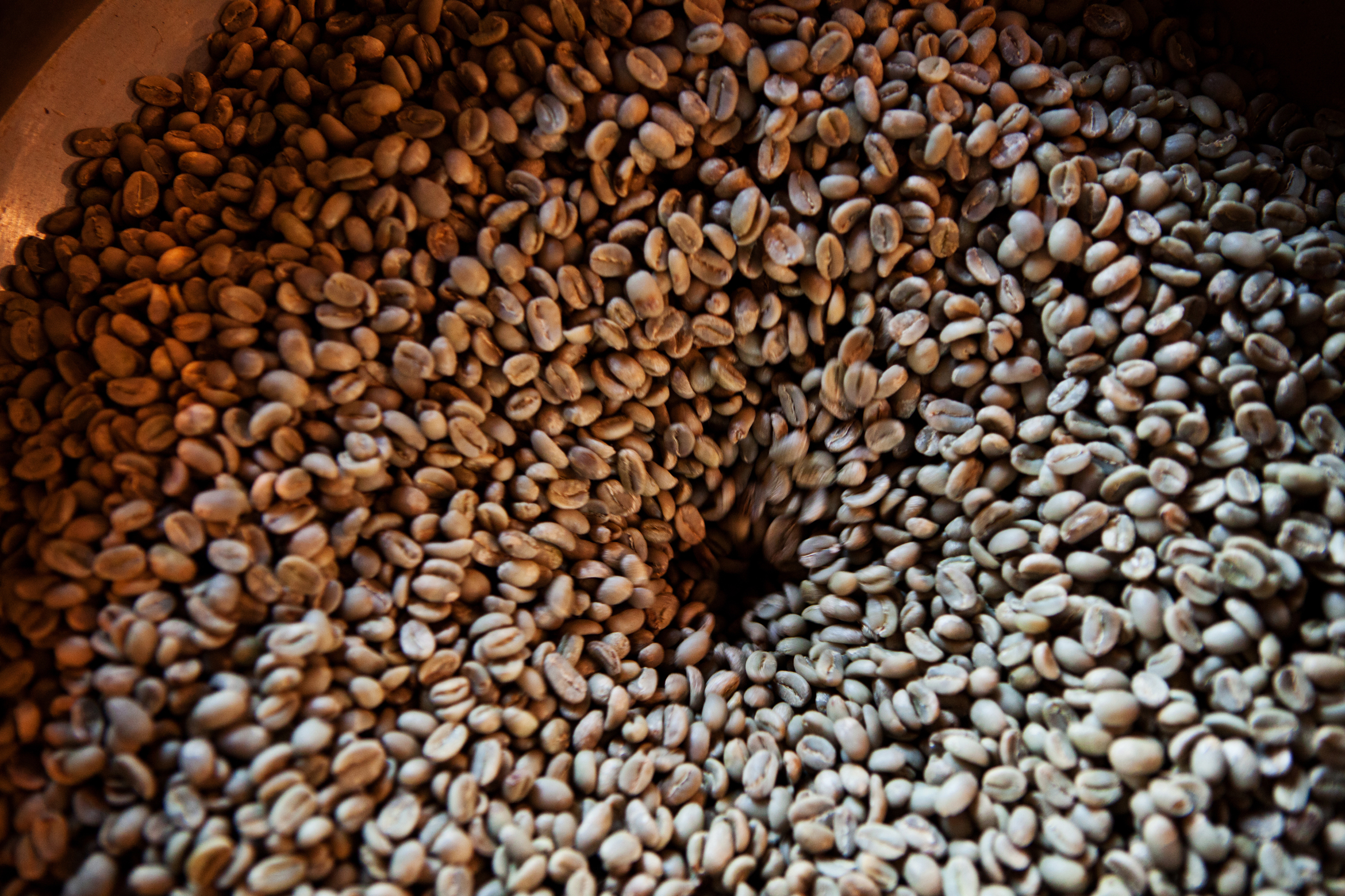 mudd puddle coffee roasters & cafe