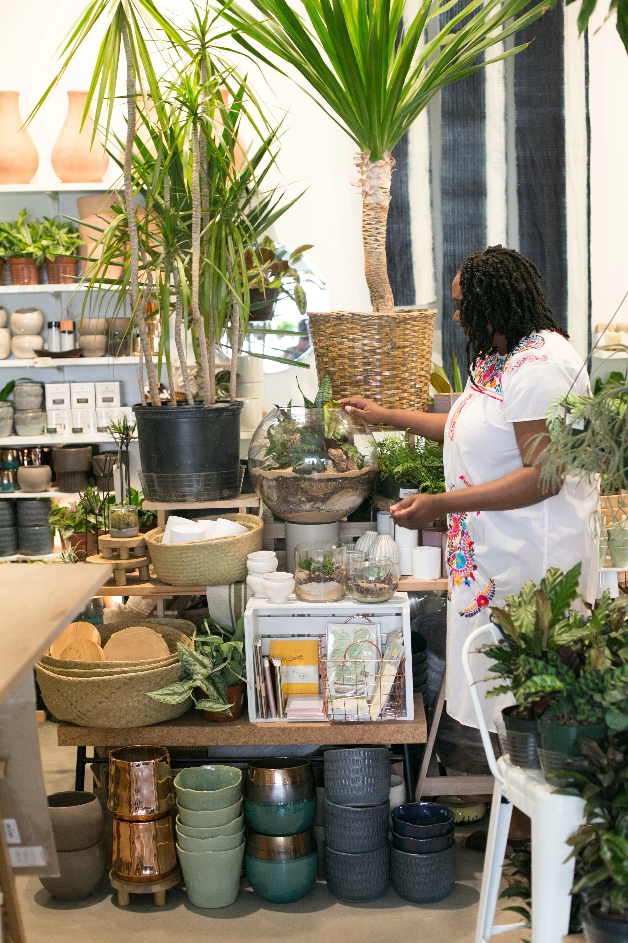 5 "Must Have" Plant Parent Accessories — The Zen Succulent | Durham's ...