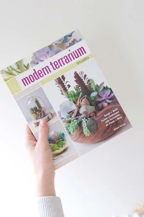 How to Celebrate Gemini Season — The Zen Succulent | Durham's ...