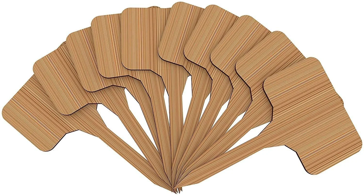 Eco-Friendly Gardening Tools for 2021 (And Beyond!) — The Zen Succulent ...