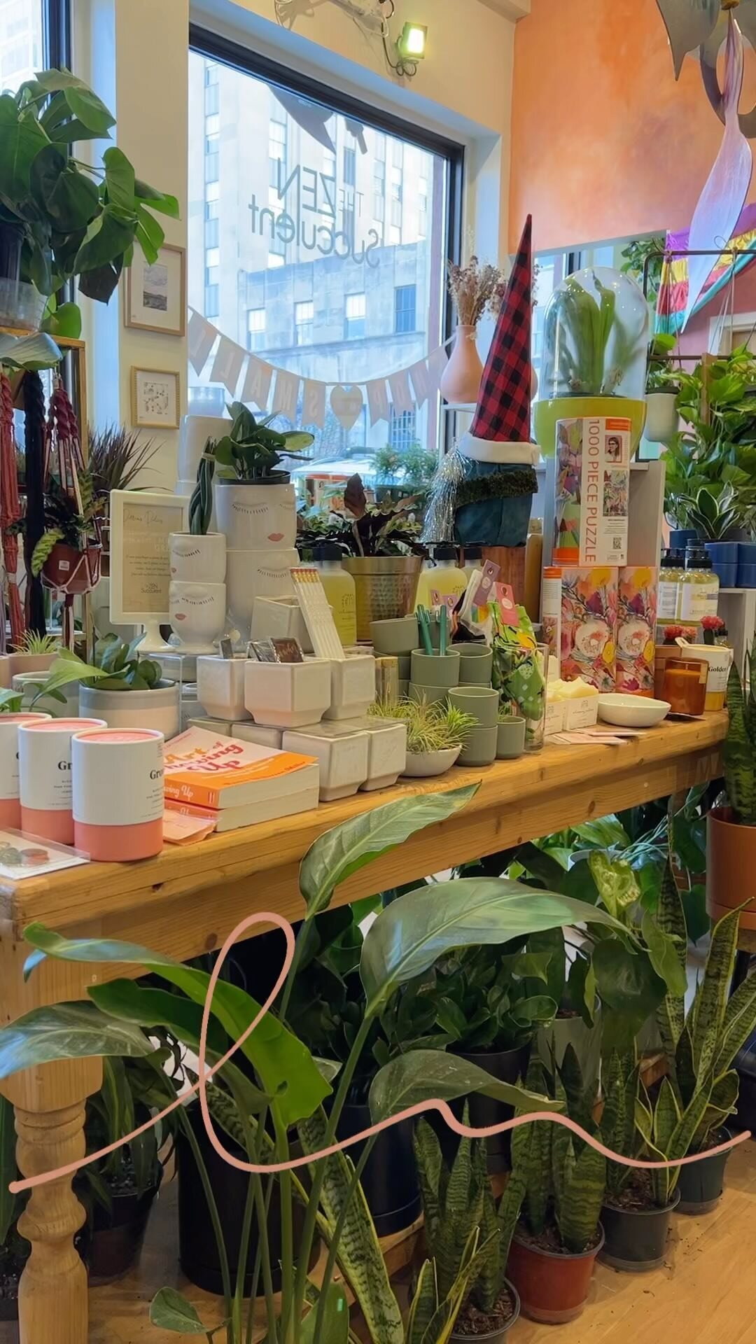 Plant Tip Tuesday: Have You Seen Our YouTube?! — The Zen Succulent ...