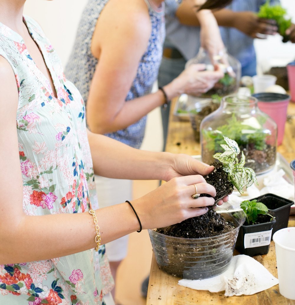 Propagation: What Does It Mean And How To Do It — The Zen Succulent ...