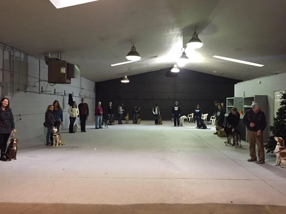 Genesee and Livingston — Einstein Dog Training