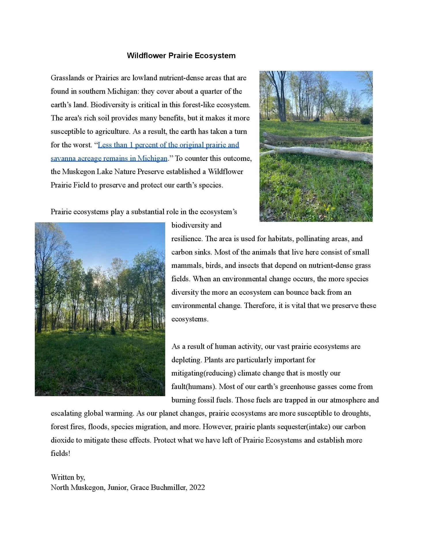 Wildflower Prairie Ecosystem — M.L.N.P.