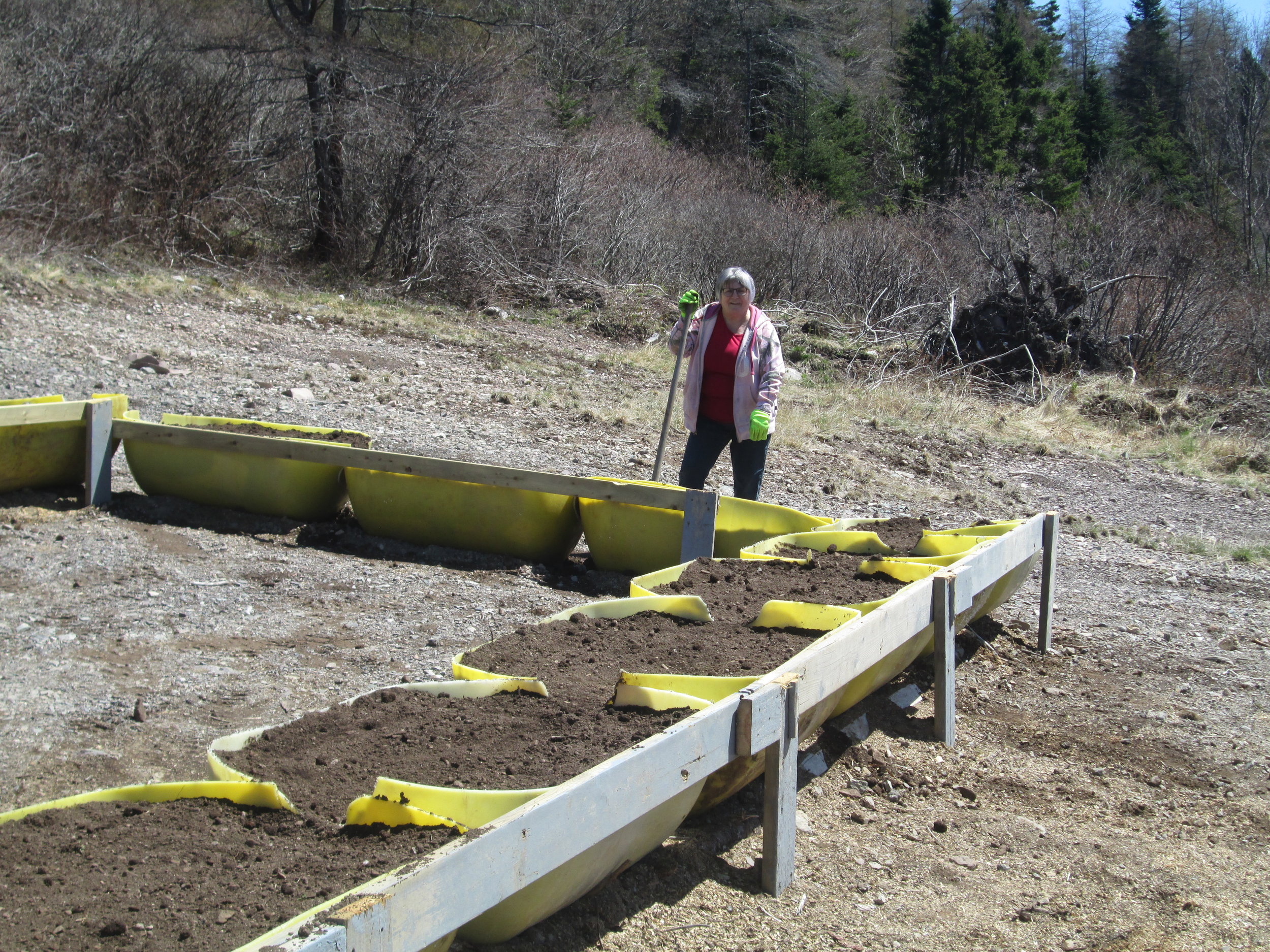 Pool's Cove — Food First NL
