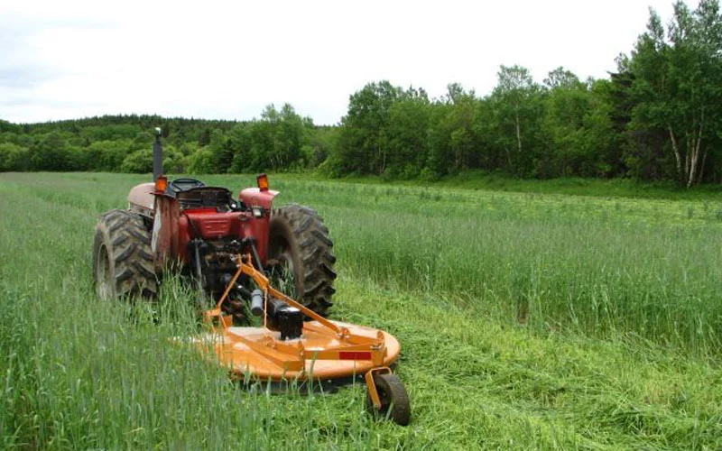 Resources — Food First NL