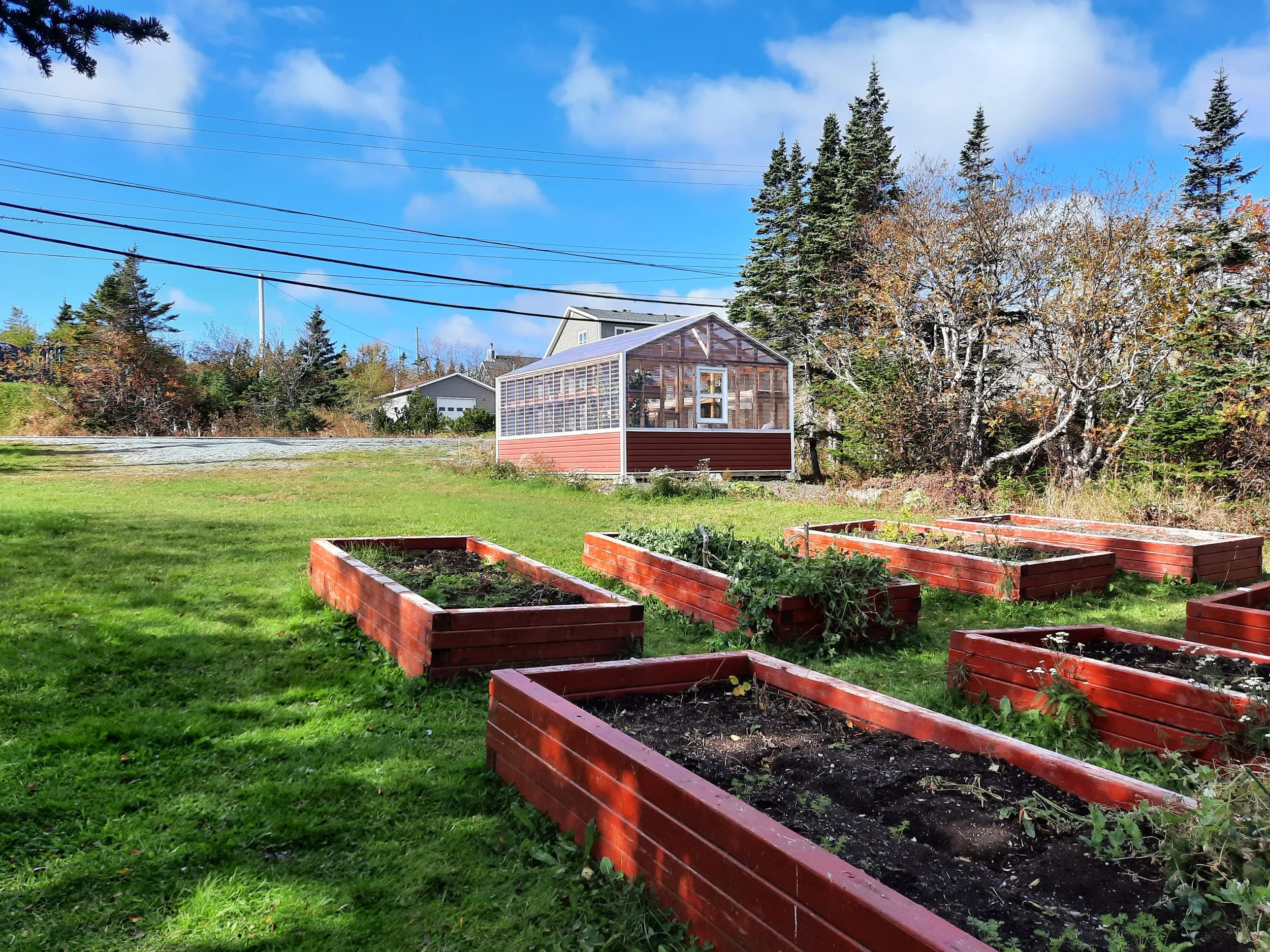 Getting Started at Your Community Garden: Steps for Success — Food First NL