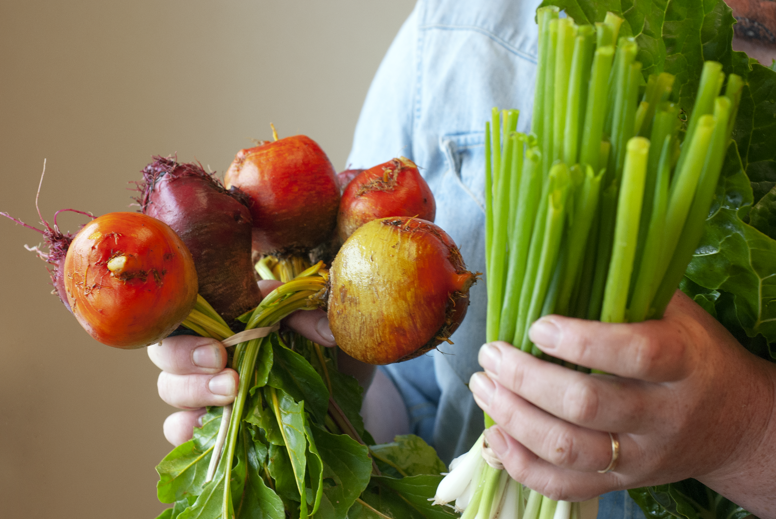 Current Projects — Food First NL