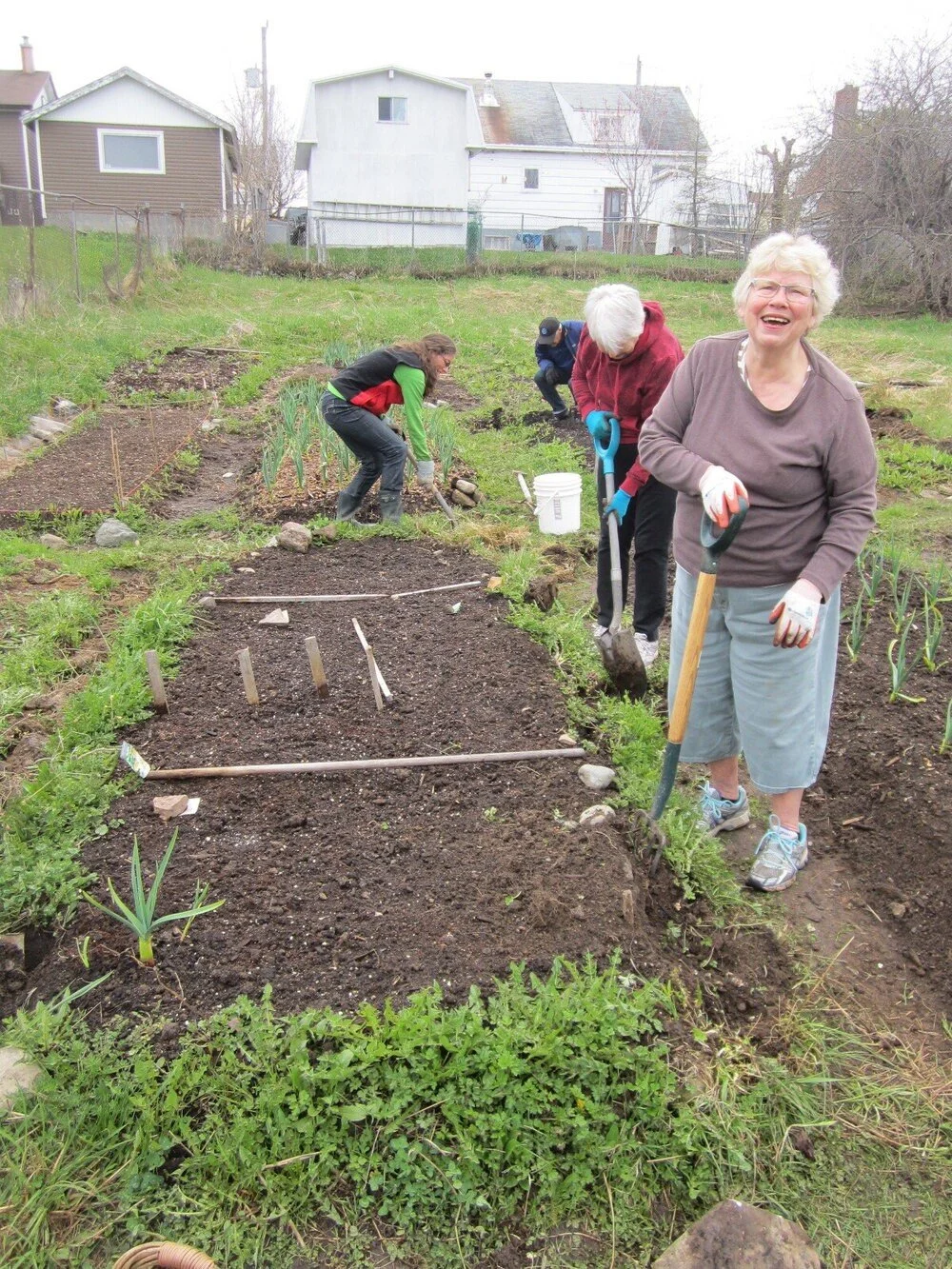 Introduction: What Is A Community Garden? — Food First NL