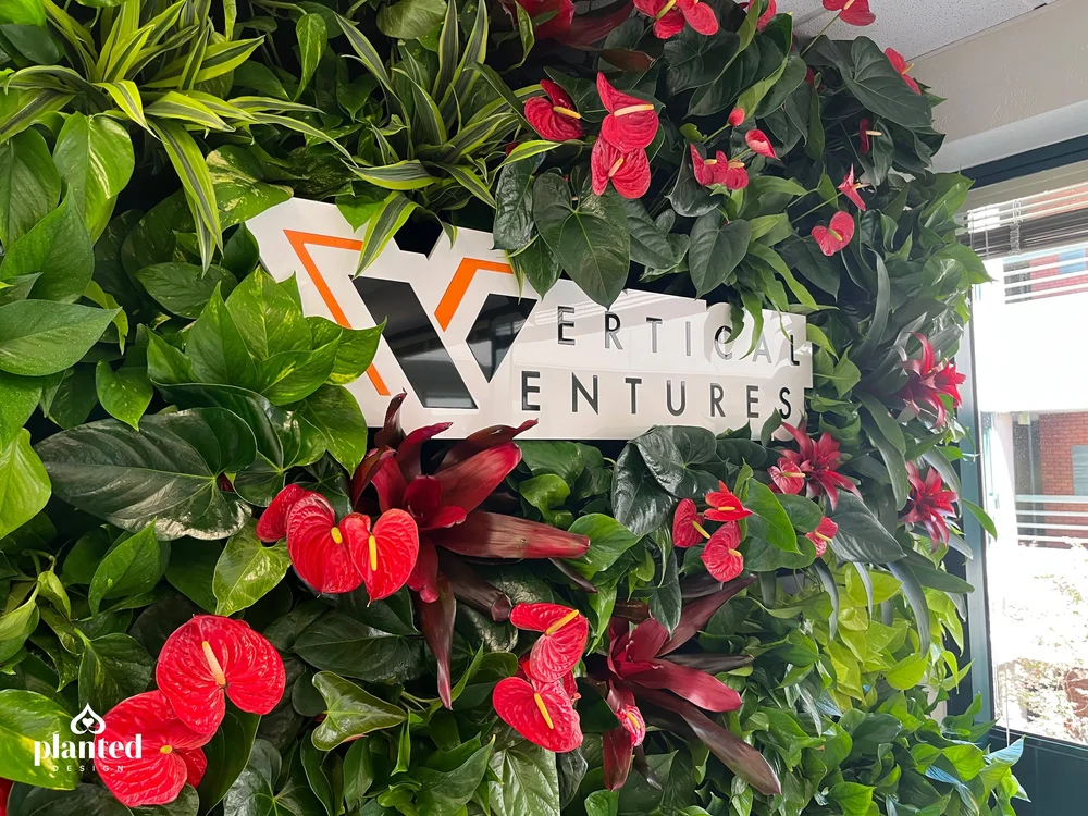 Gallery - Vertical Ventures — Planted Design
