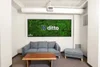 Gallery - Ditto — Planted Design