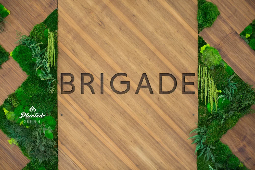 Gallery - Brigade — Planted Design