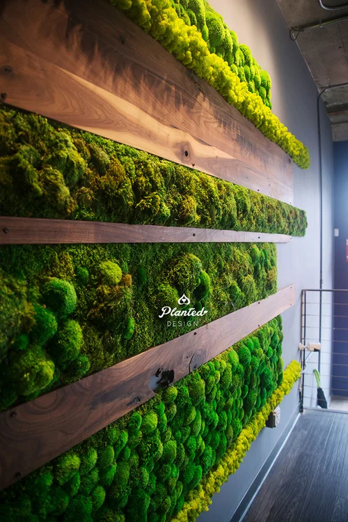 Gallery - Iron Source Reception Moss Wall — Planted Design