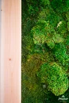 Gallery - Sierra Club — Planted Design