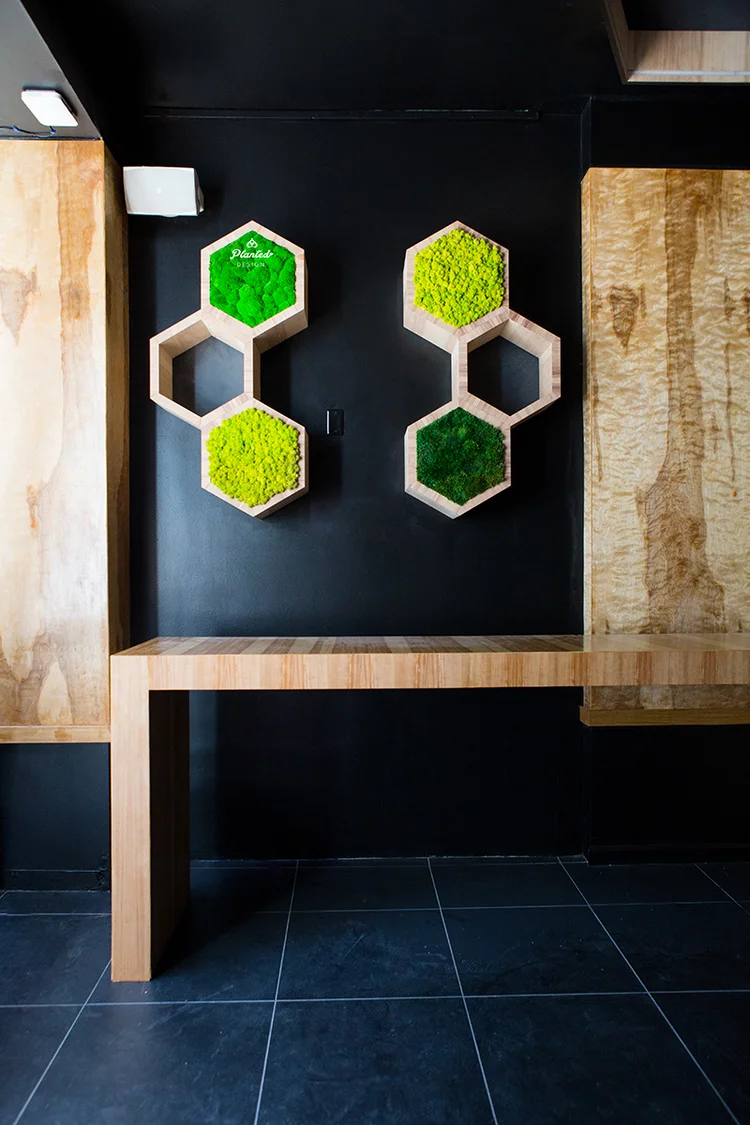 Gallery - Hive — Planted Design