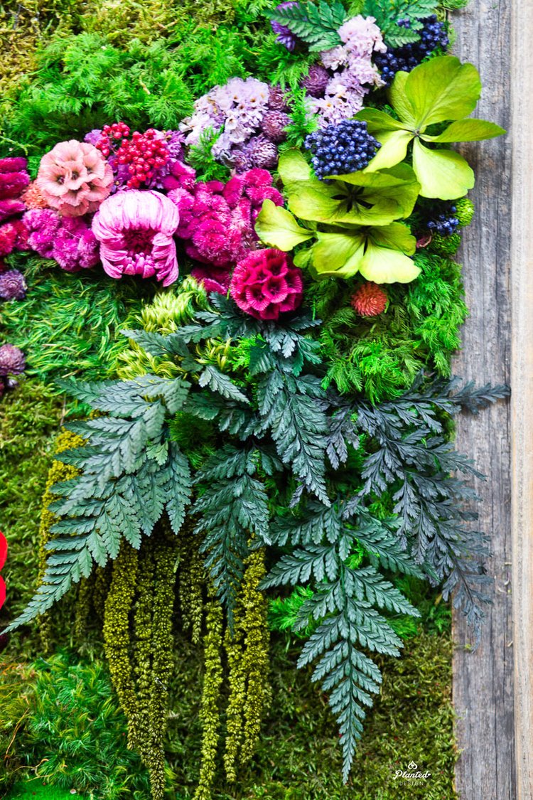 Gallery - Flower Frame — Planted Design