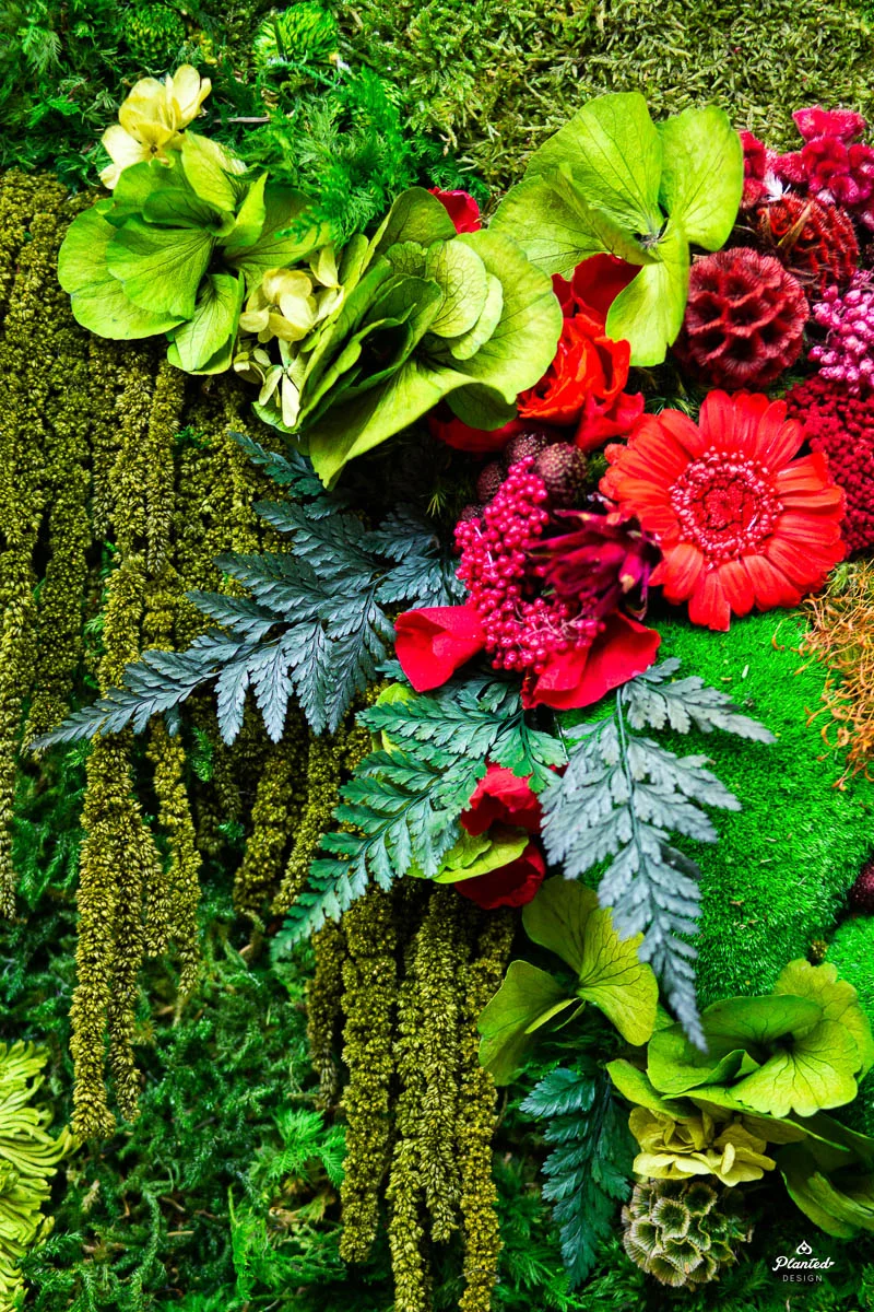 Gallery - Flower Frame — Planted Design
