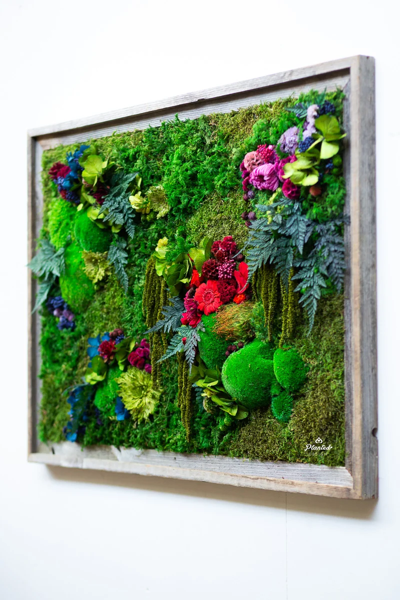 Gallery - Flower Frame — Planted Design