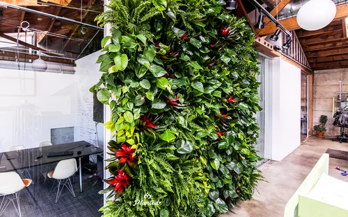 Gallery - Mar Structural — Planted Design