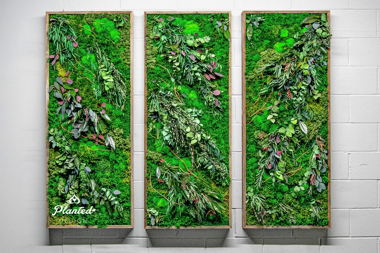 Gallery - Masterclass — Planted Design