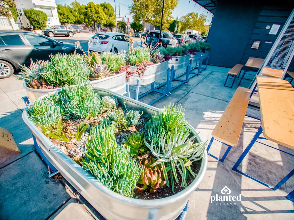 Gallery - Temescal Brewing Co. — Planted Design