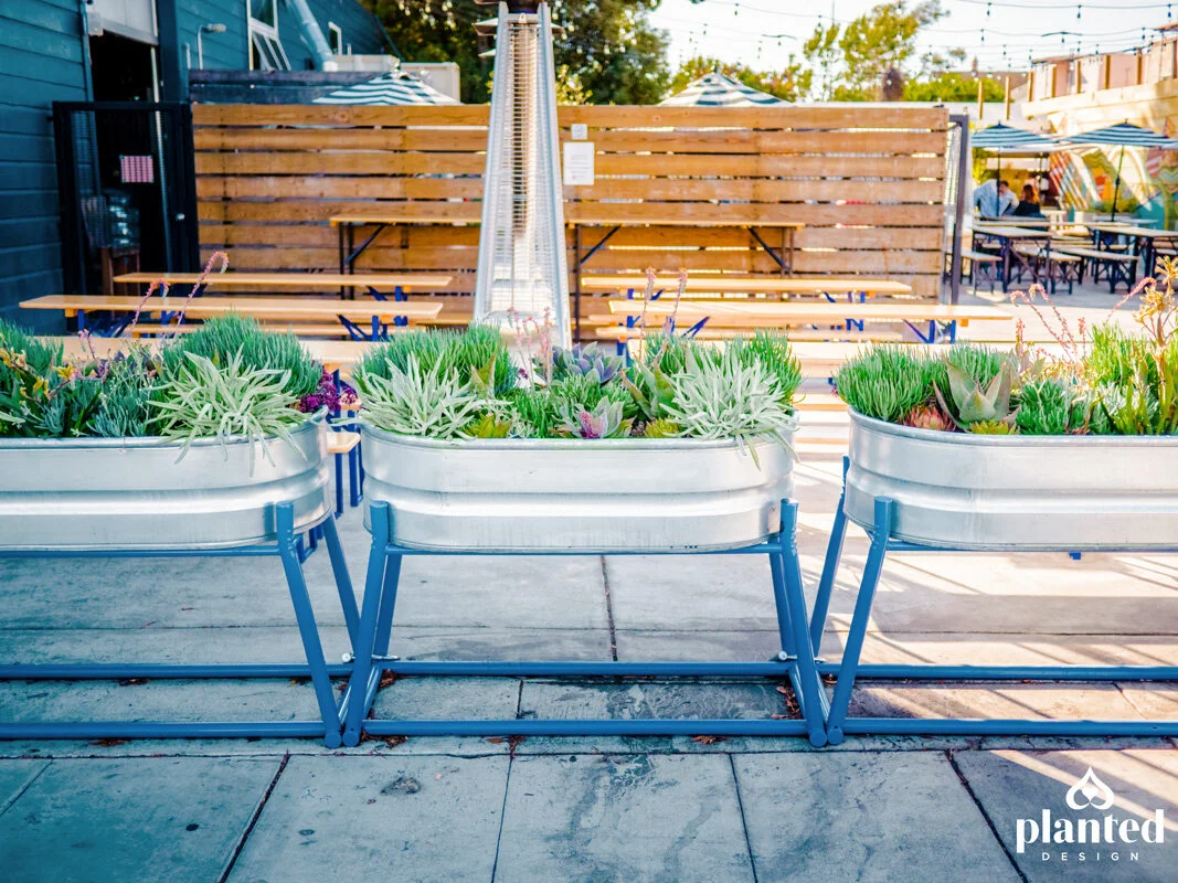 Gallery - Temescal Brewing Co. — Planted Design
