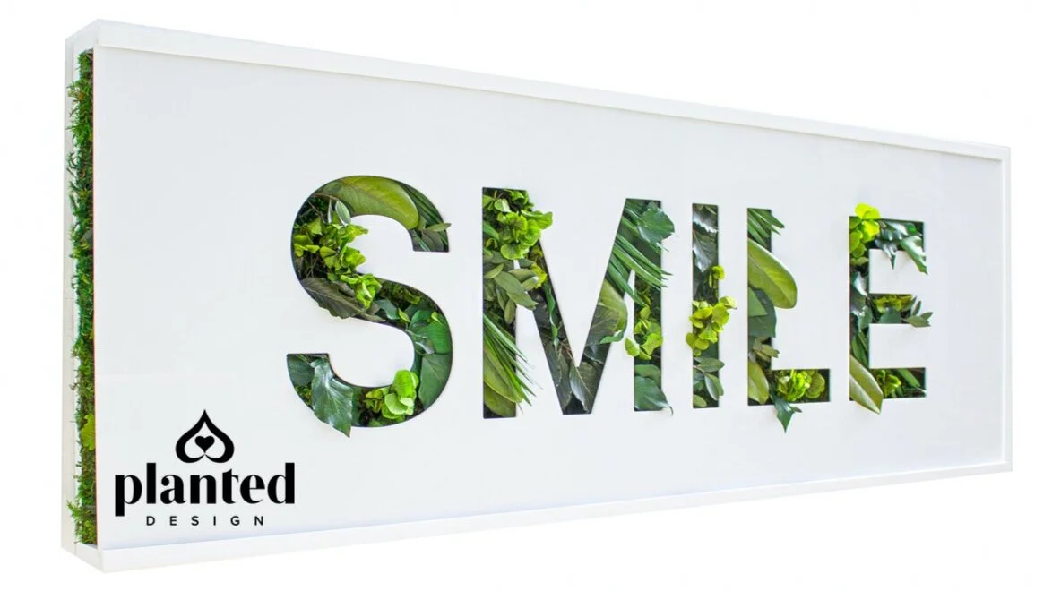 Gallery - Uniform Teeth — Planted Design