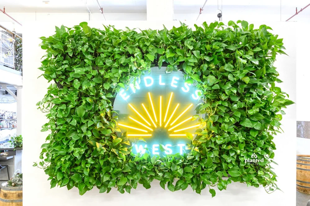 Gallery - Endless West — Planted Design