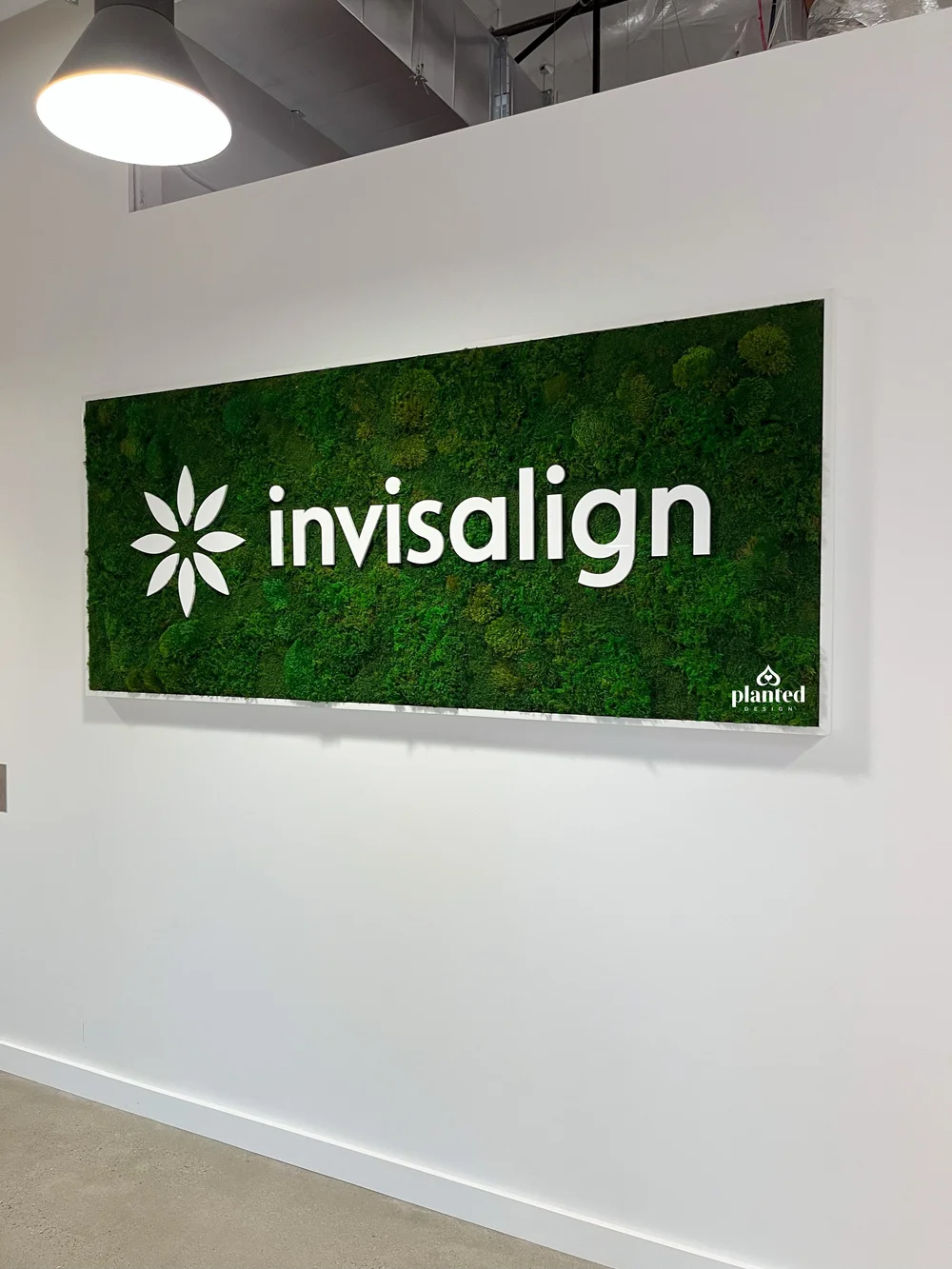 Gallery - Align Technology — Planted Design