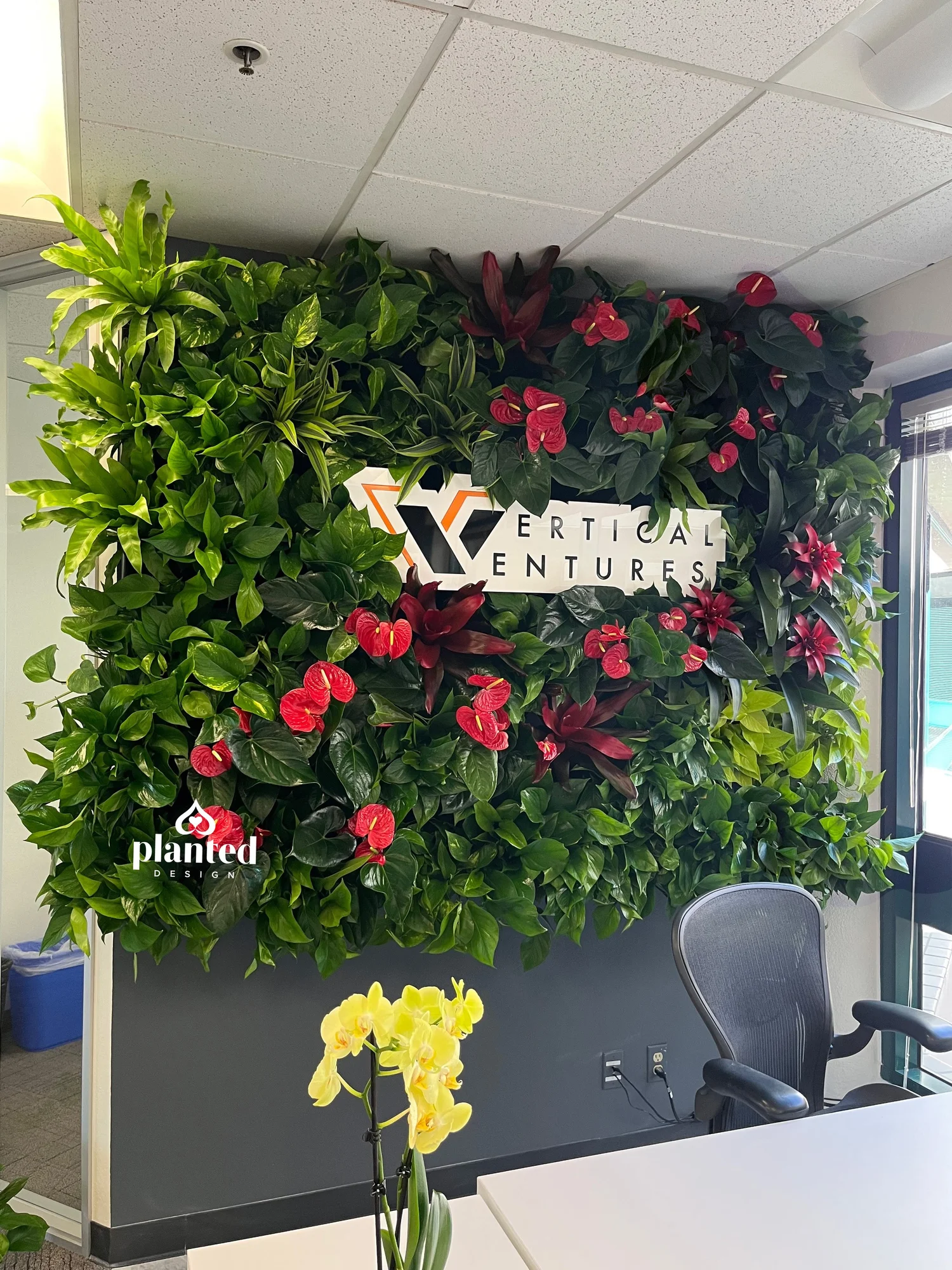 Gallery - Vertical Ventures — Planted Design
