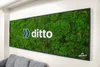 Gallery - Ditto — Planted Design
