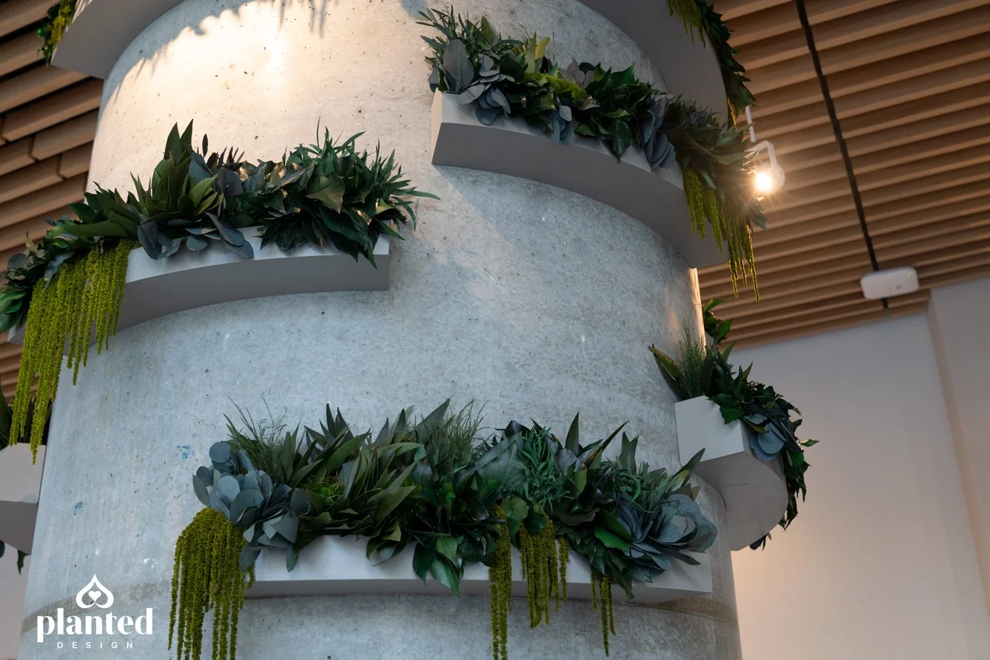 Gallery - Holland Columns — Planted Design