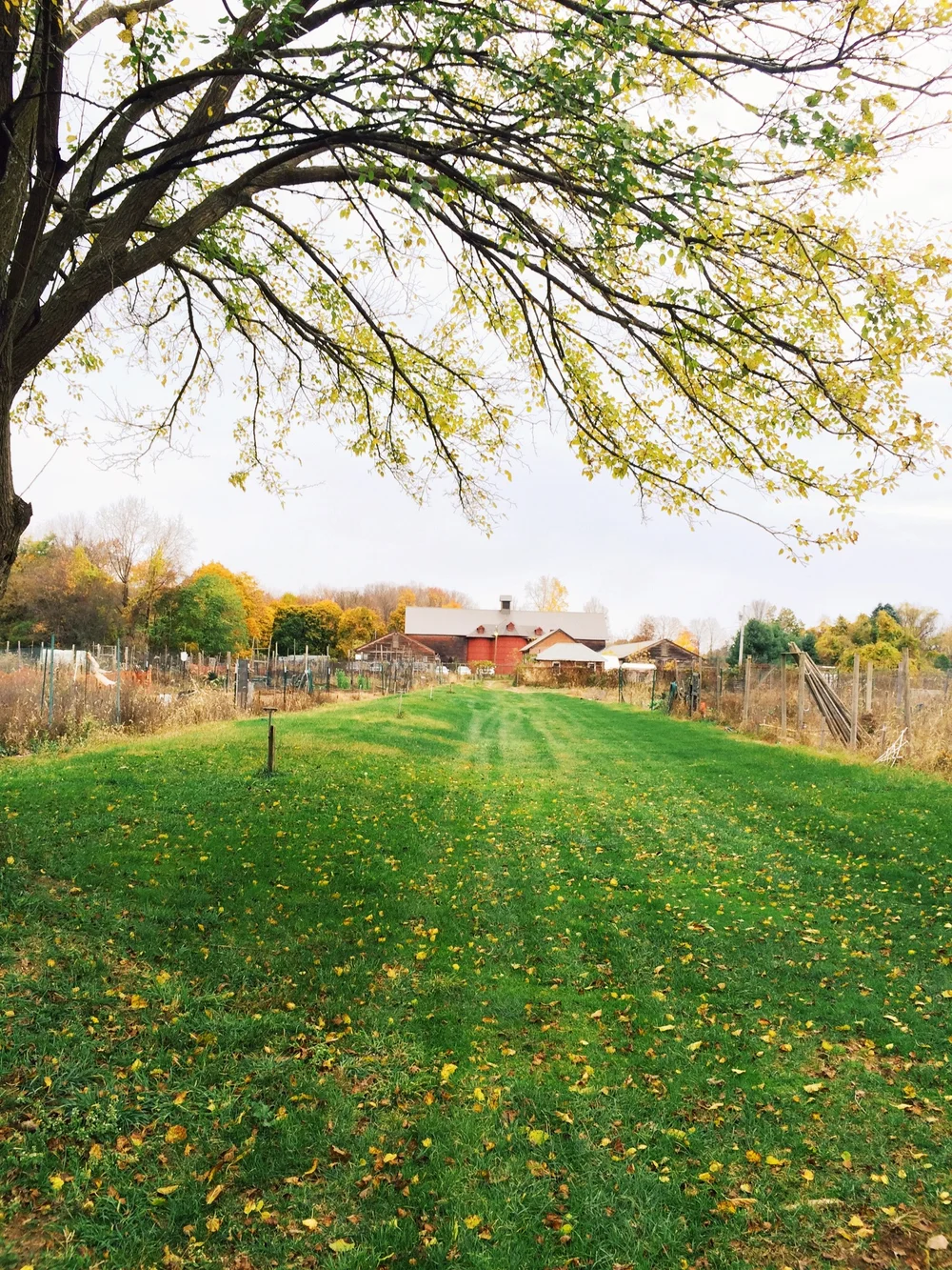 The Farm — Poughkeepsie Farm Project