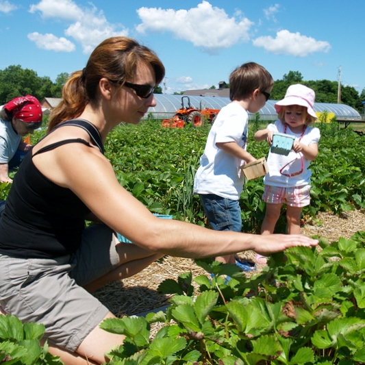 Give — Poughkeepsie Farm Project