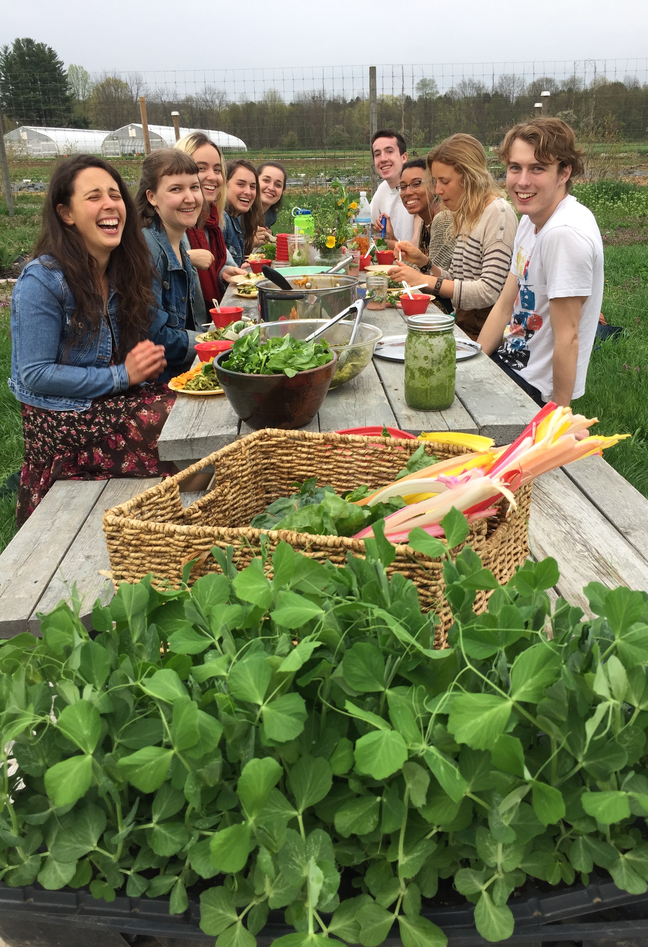 Education — Poughkeepsie Farm Project