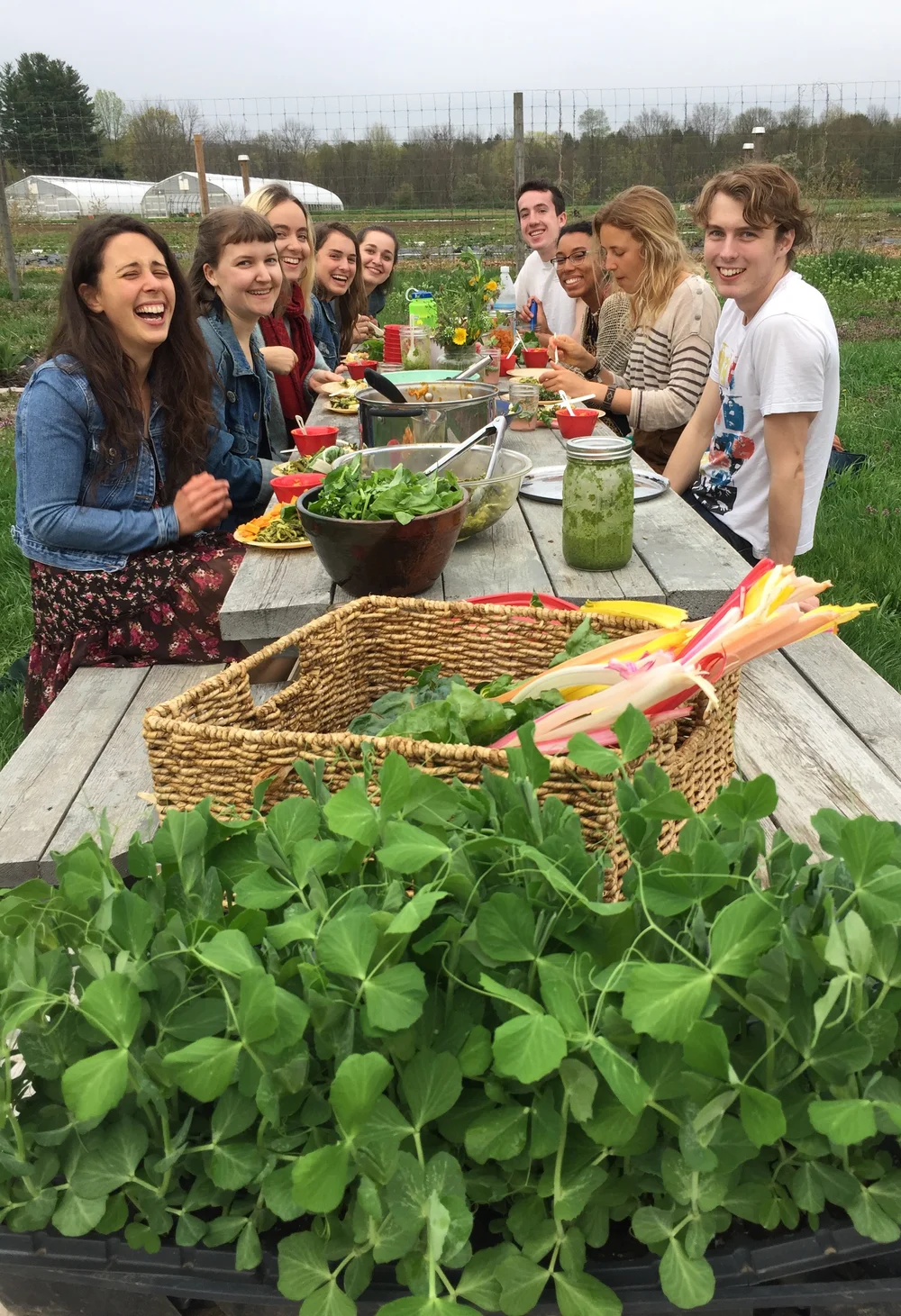 Education — Poughkeepsie Farm Project