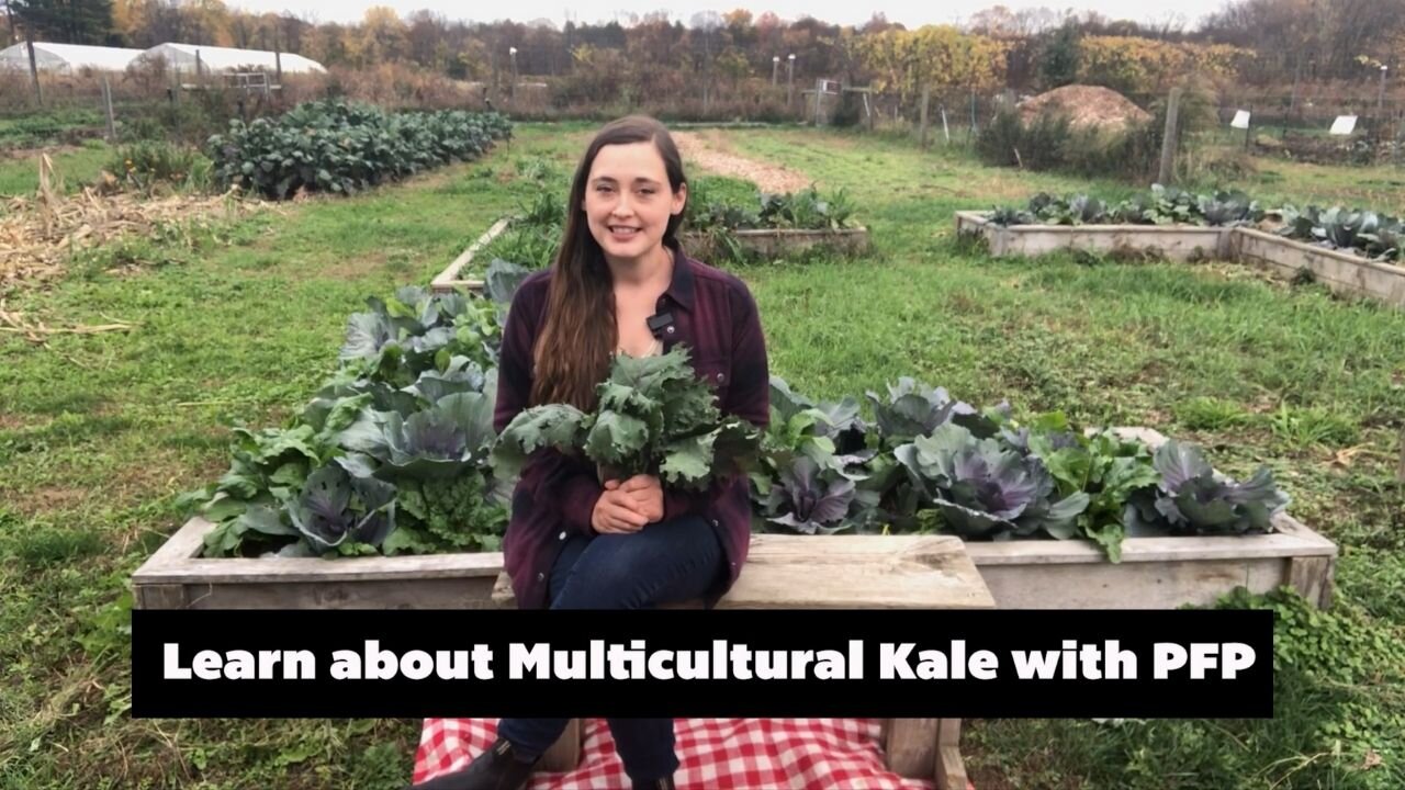 PFP @ Home Winter — Poughkeepsie Farm Project