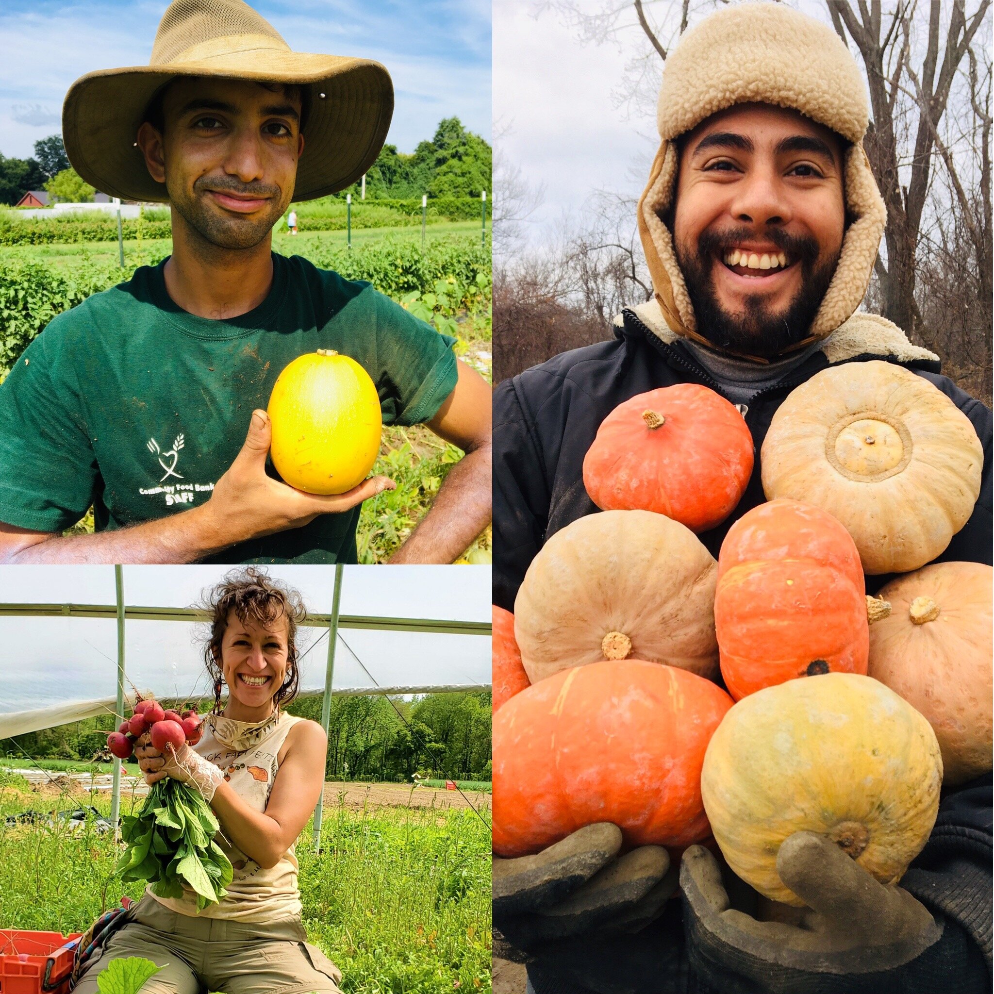 Community Supported Agriculture (CSA) — Poughkeepsie Farm Project