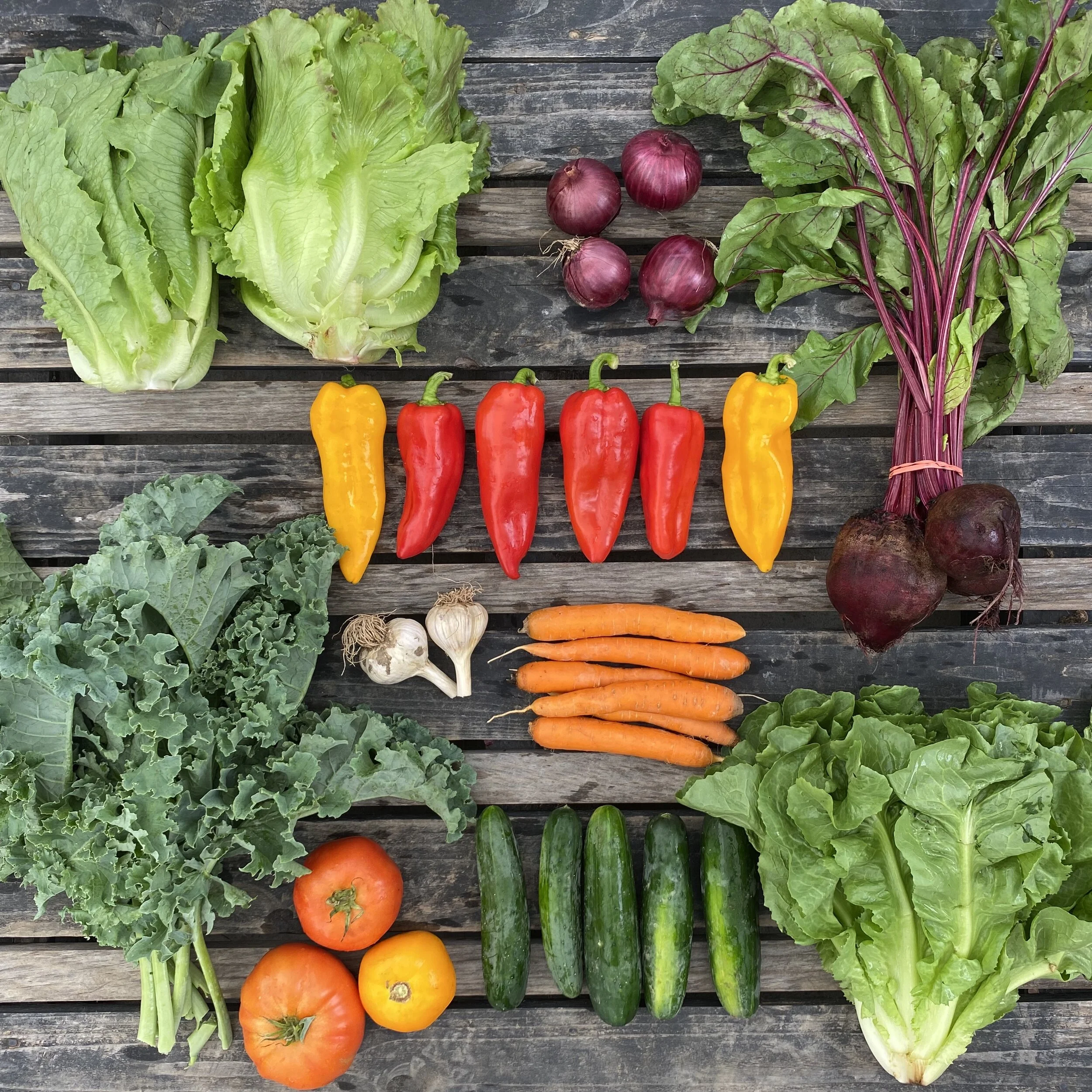 Community Supported Agriculture (CSA) — Poughkeepsie Farm Project