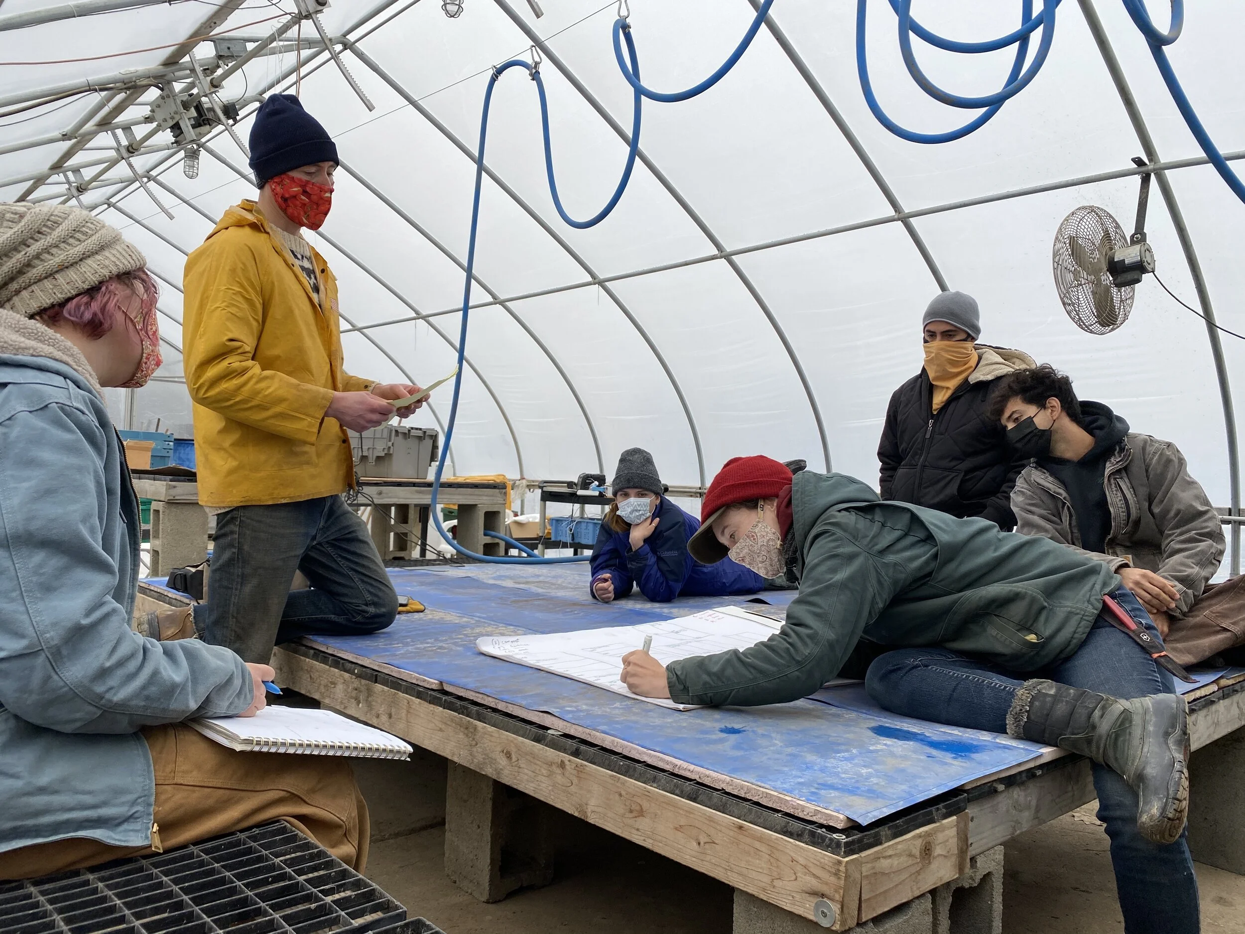 Community Supported Agriculture (CSA) — Poughkeepsie Farm Project