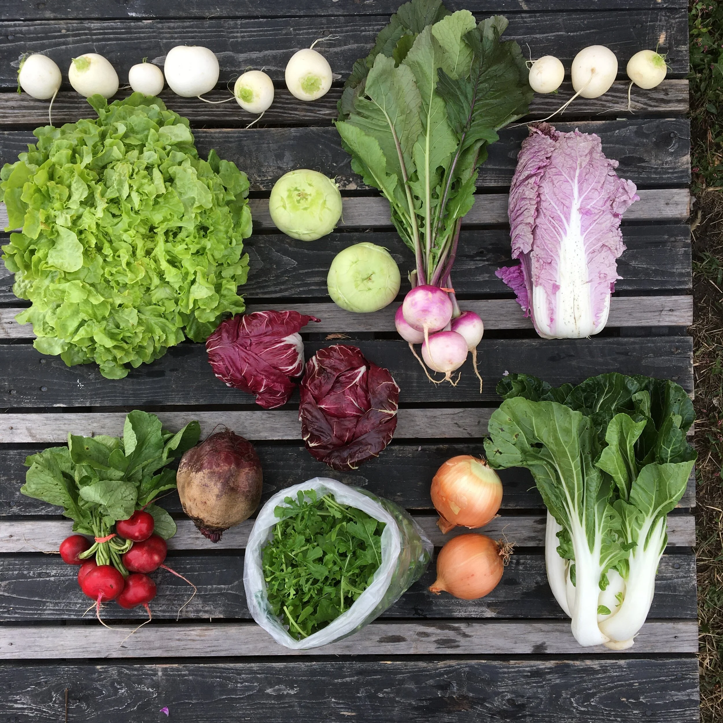 CSA Shares — Poughkeepsie Farm Project